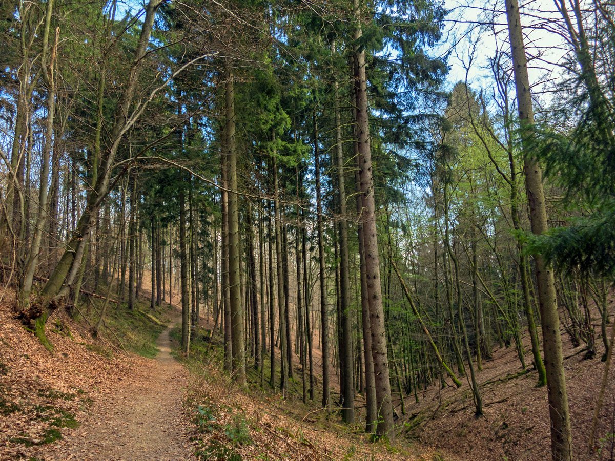 Der Mäanderweg: Burg Windeck, der Siegwasserfall & ein Museumsdorf ...